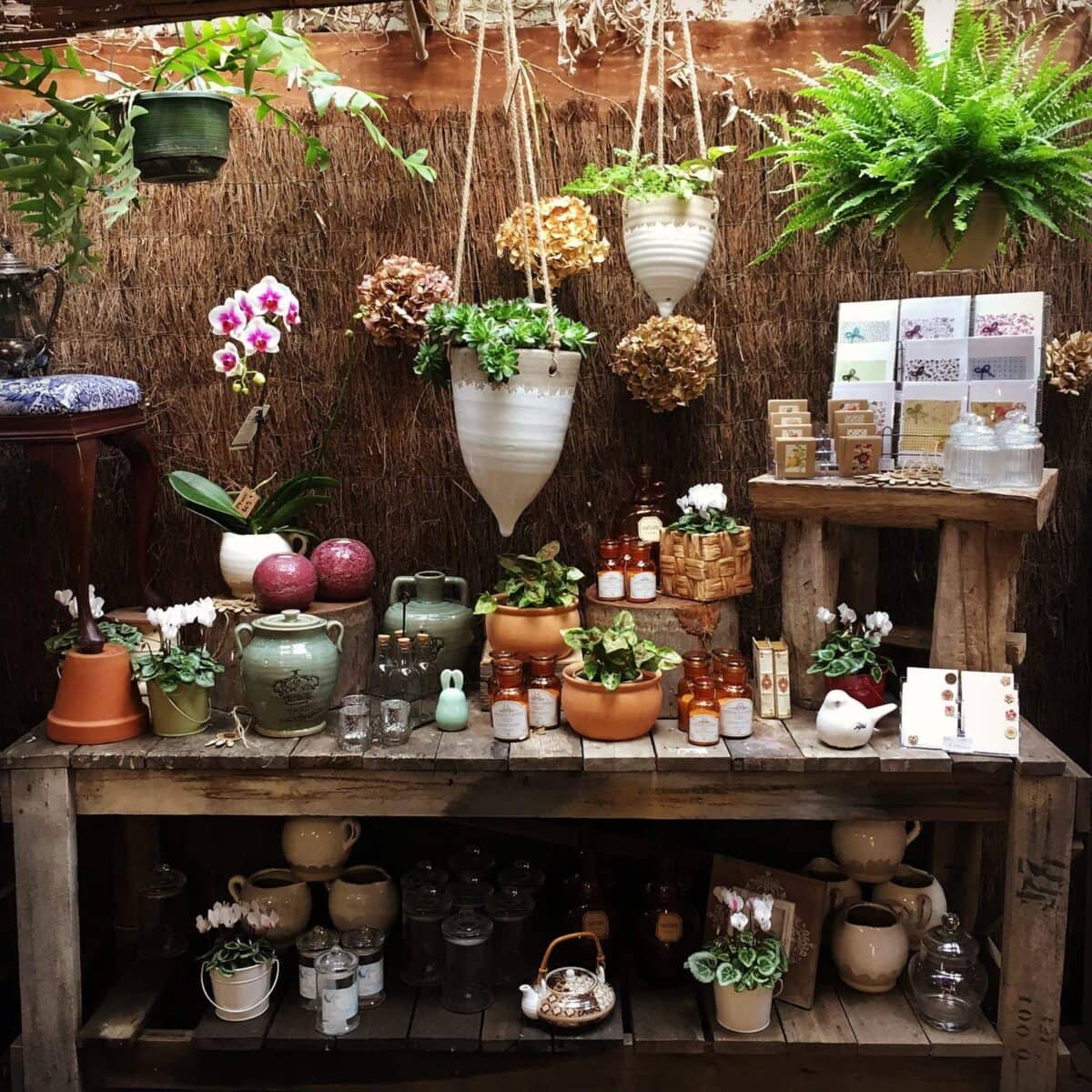 Flower Gallery - Scotts Florist